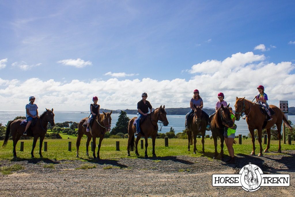 Horse Riding Gallery | Horse Trek'n Bay of Islands | Horse Trek'n